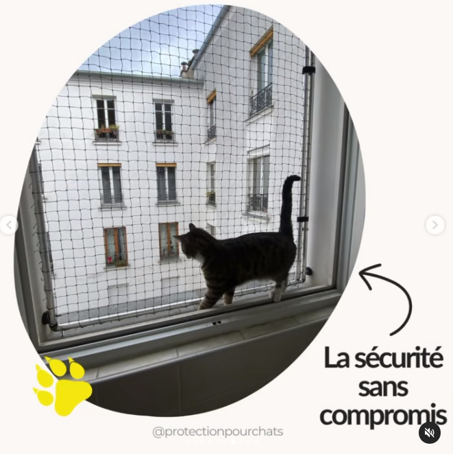 Tiger Protection Pour Chats :: Adopte-un-bricoleur